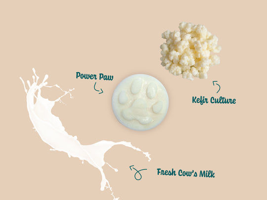 Kefir Culture – The K9 Kitchen